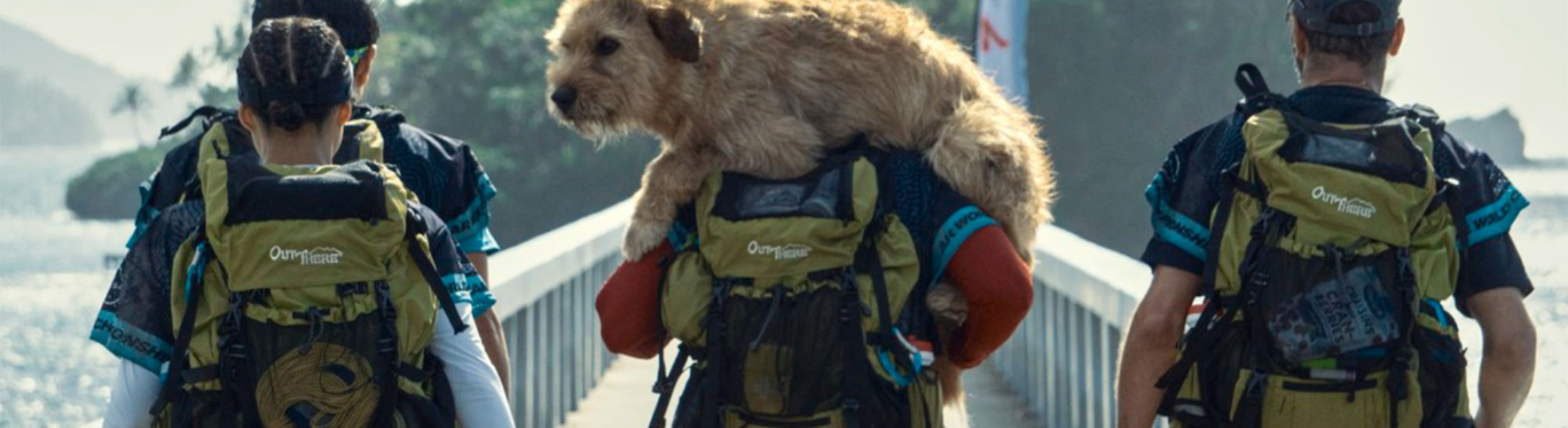 Embark on an Adventure of a Lifetime with Race2Adventure: Inspired by ...